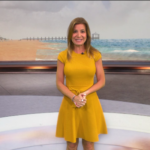 Jen Carfagno- Wiki, Age, Height, Husband, Net Worth (Updated on March 2024)