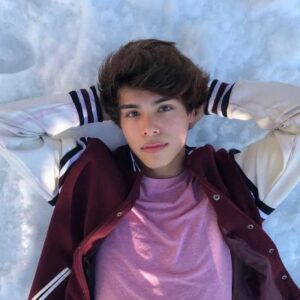 Alan Stokes- Wiki, Age, Height, Girlfriend, Net Worth (Updated on ...