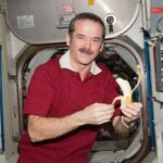 Chris Hadfield- Wiki, Age, Height, Wife, Net Worth (Updated on February ...