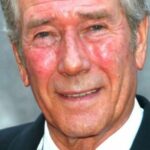 Robert Fuller- Wiki, Age, Height, Wife, Net Worth (Updated on February ...