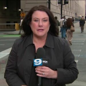 Marcella Raymond Husband: Who Is She Married To? Relationship And Family